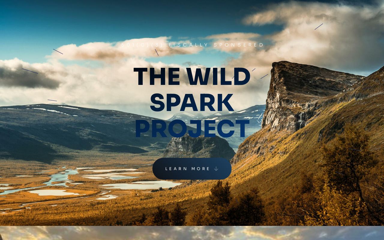 The Wild Spark Project